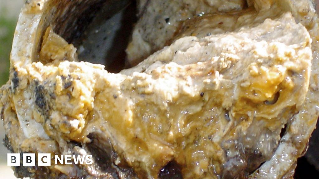 'Monster' fatberg to go on display in museum - BBC News