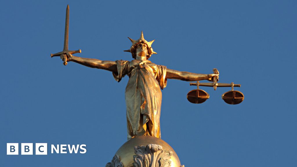 Man denies causing PC's death by careless driving - BBC News