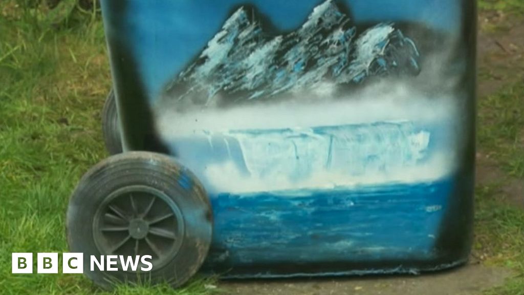 Wheelie bin artist 'Binsy' becomes online hit - BBC News