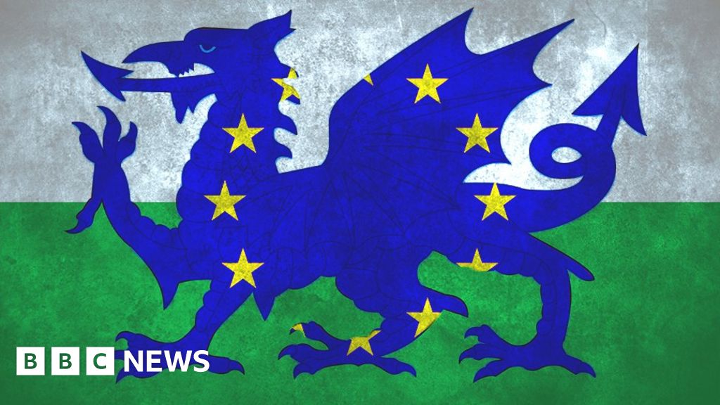 Brexit six months on: Leave and Remain views from Wales - BBC News