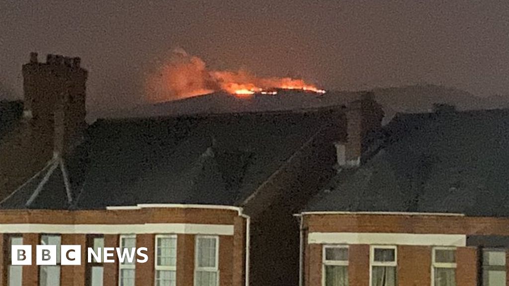 Wildfires in Northern Ireland and their environmental cost - BBC News