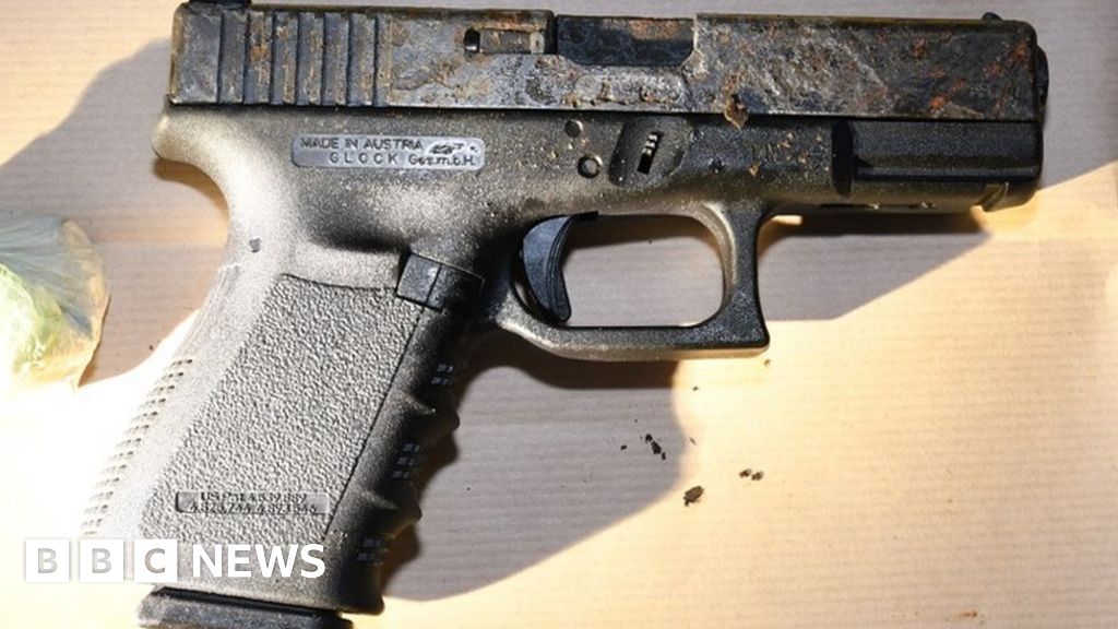 Police find three guns buried near Middleton tree after tip-off