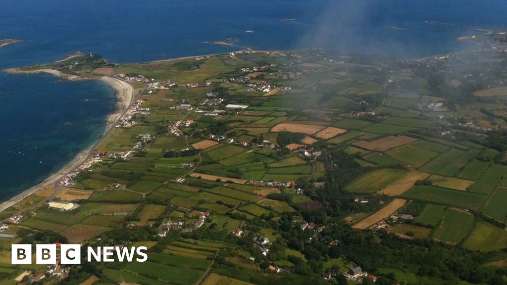 Guernsey's habitat decline is 'stark and concerning'