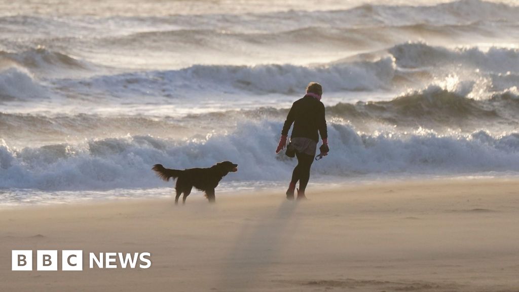 Guernsey charity invites dog owners to partake in 'walkies' event