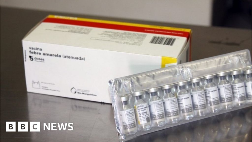 Brazil orders 11.5 million yellow fever vaccine doses - BBC News