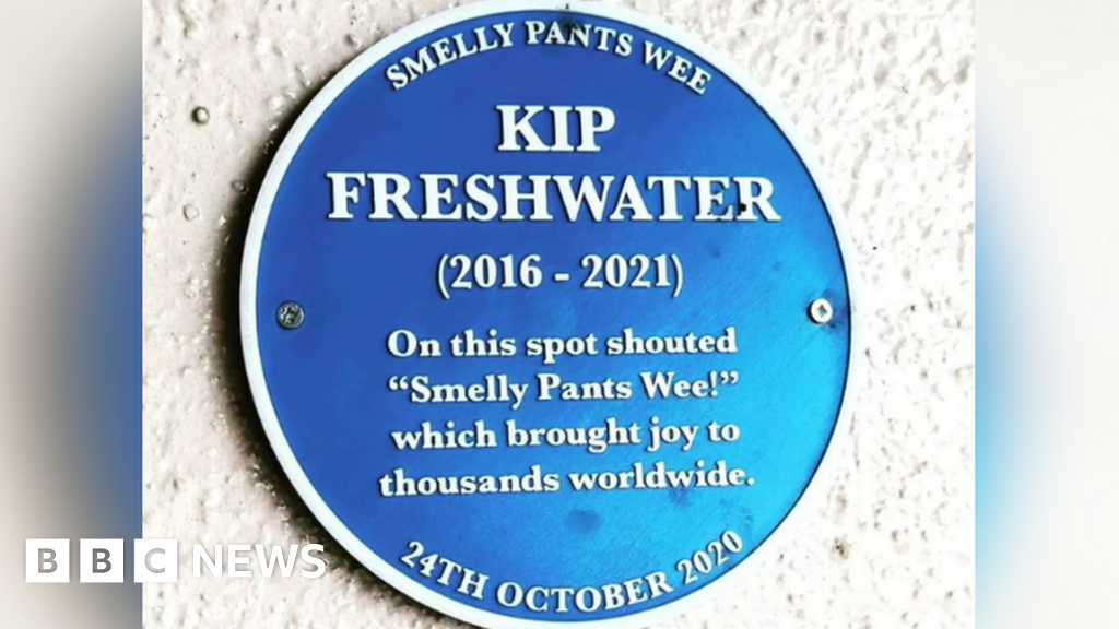 'Smelly pants wee' plaque to remember cancer boy is removed - BBC News