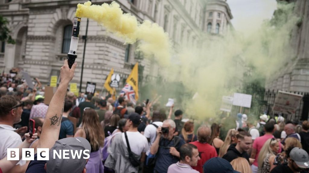 London protests: Nine arrested during day of demonstrations