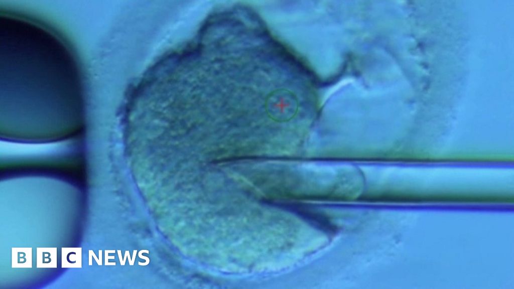 Scientists say three-person DNA babies are 'safe' - BBC News