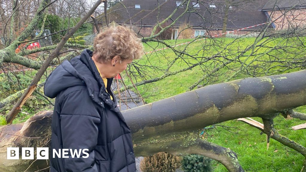 Man arrested over Wakefield Hospice tree-felling - BBC News