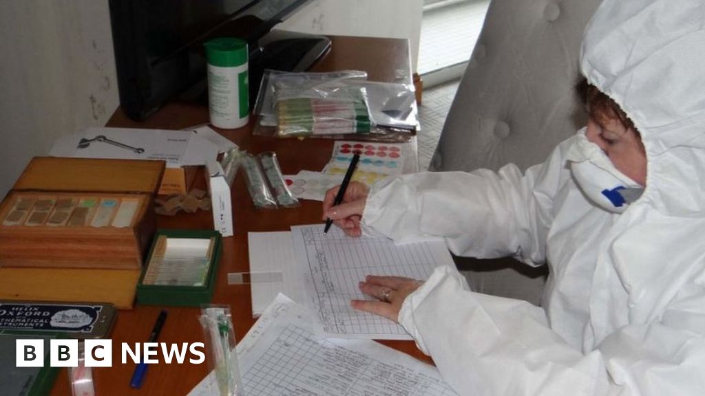 Forensic science: How pollen is a silent witness to solving murders ...