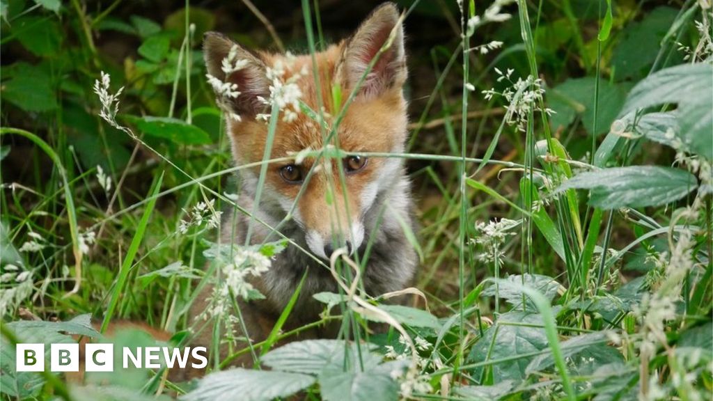England's Big Picture: 19 June - 25 June 2023