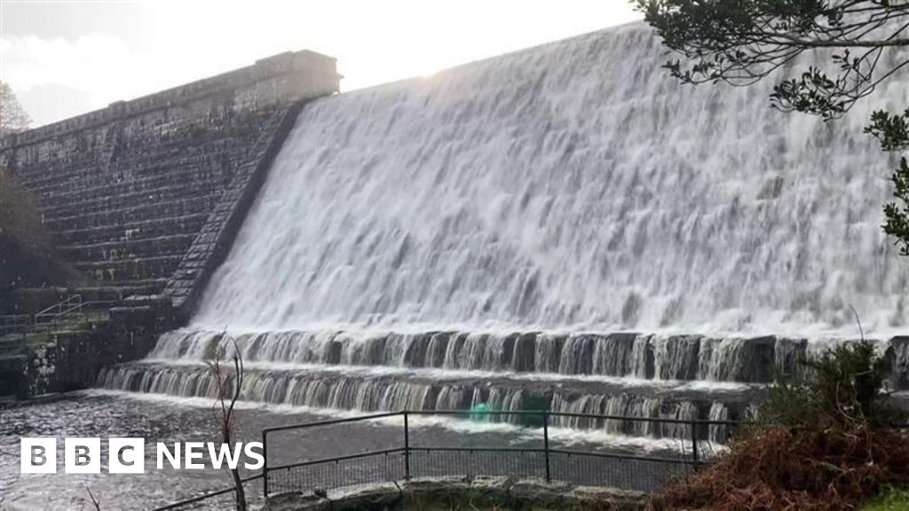 Project to help Atlantic salmon in Devon shows signs of success - BBC News