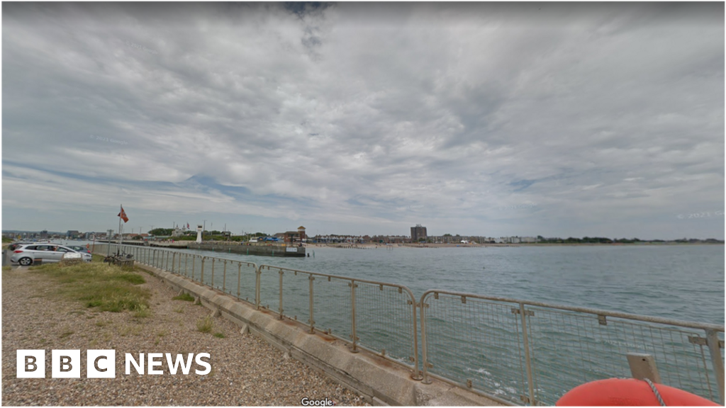 Littlehampton: Rescuer in hospital after following dog into sea - BBC News
