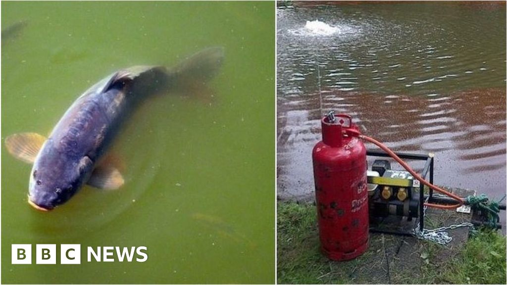 River Thet polluted by sewage and road surface water - BBC News