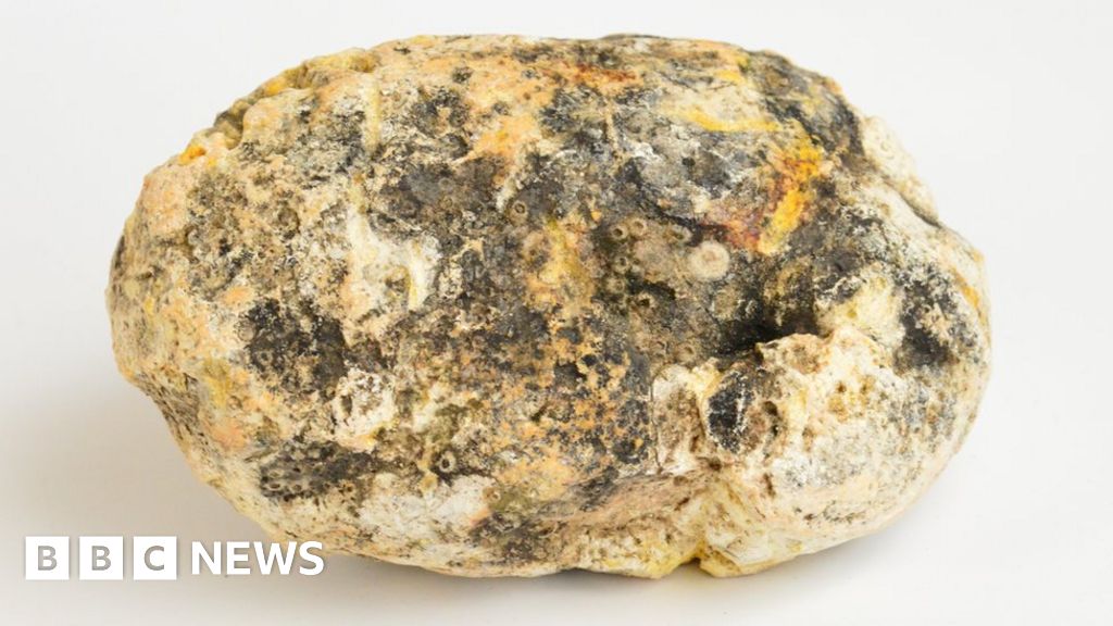 Ambergris found on Anglesey beach sells for £11,000 - BBC News