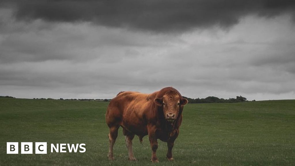 Your Pictures in Wales: 15-22 August 2018 - BBC News