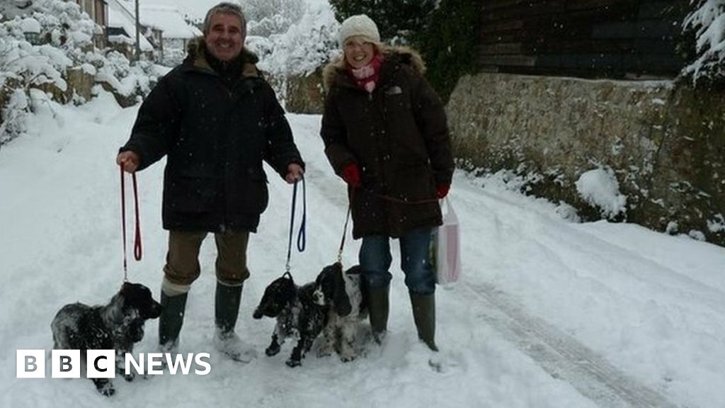 Ex-TV producer who hired hitmen to kill partner found guilty - BBC News