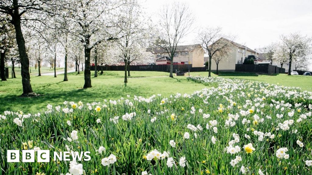 Craigavon 'most desirable place to live' - Royal Mail - BBC News