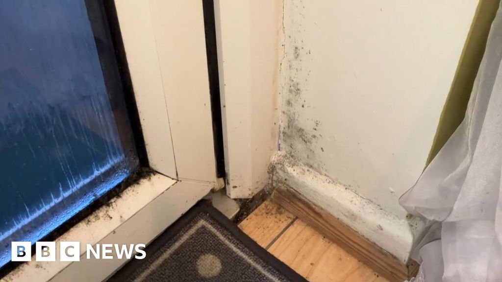 Mouldy Halesworth council flat causing health problems, says family