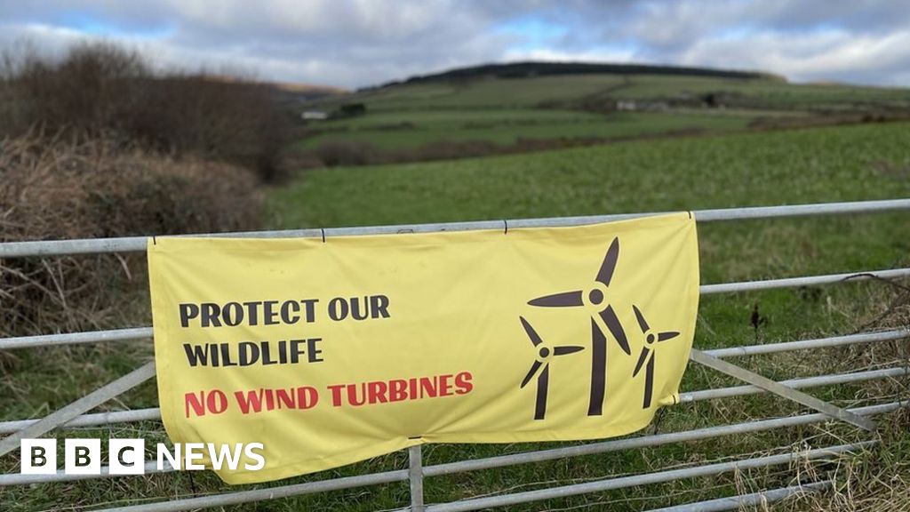 Concerns raised for wildlife as Manx onshore wind farm plans progress