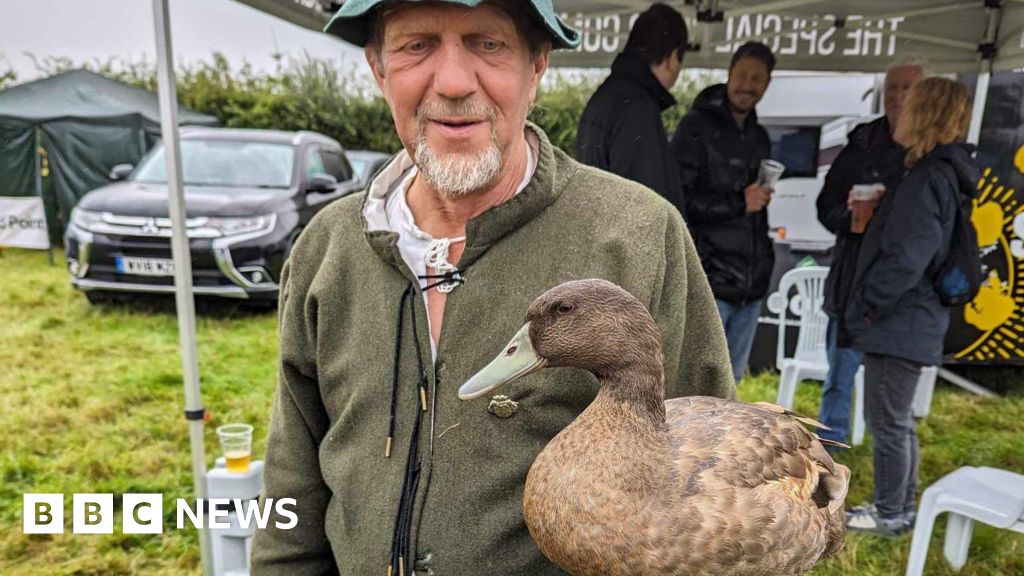 Gillingham: 'Man's best friend' is actually a duck