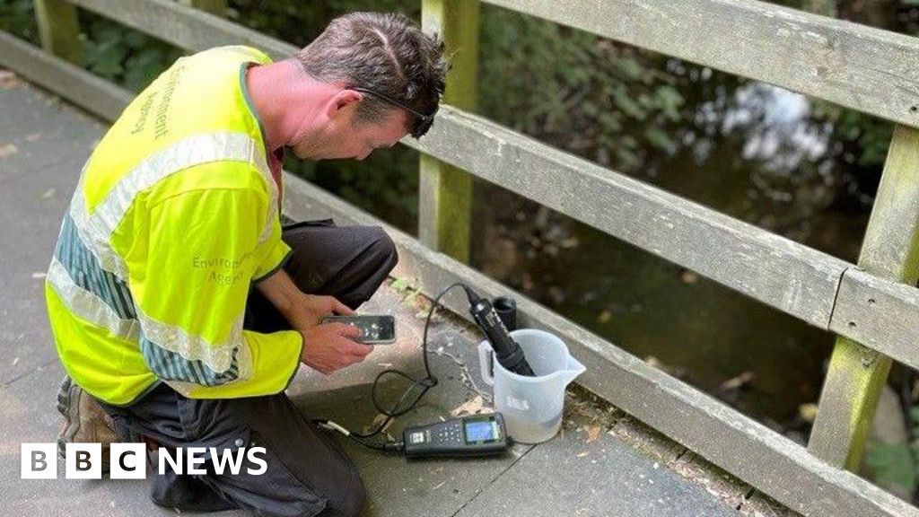 River Arun alert after pollution discharged from Horsham drain - BBC News