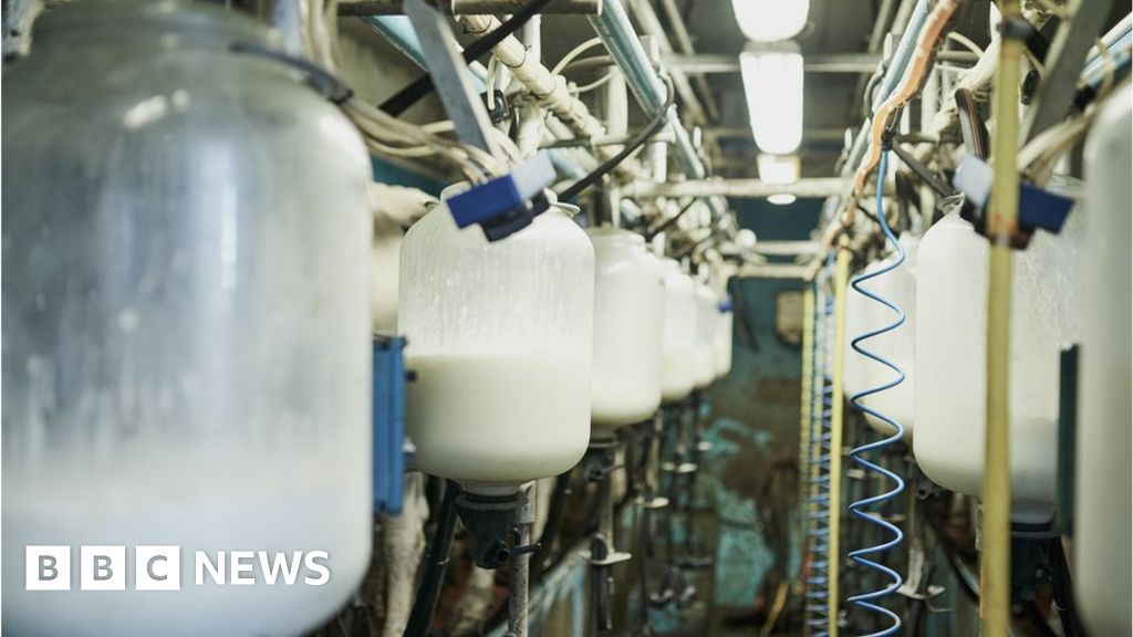Dale Farm wins whey protein supply deal with Arla