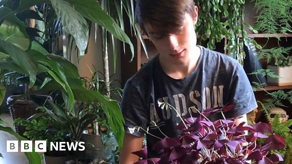 Leicestershire gardener surrounded by 1,400 plants in home - BBC News