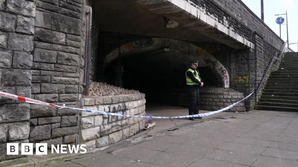 Cardiff: Two men arrested after alleged sexual assault - BBC News