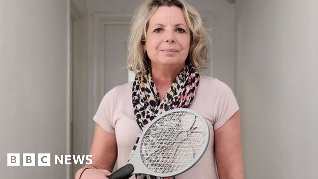 How Rushden found itself caught up in a fly 'nightmare'