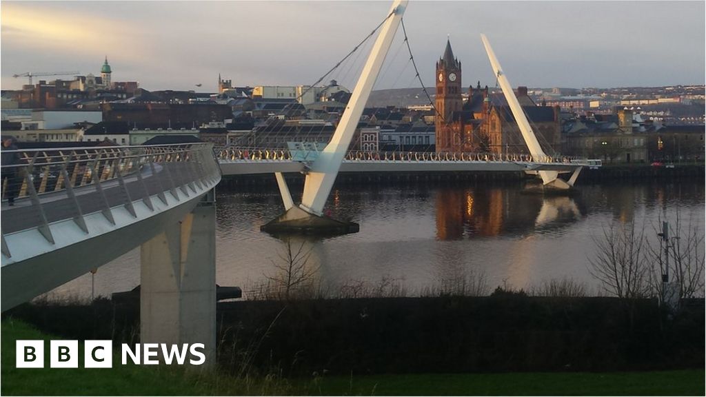 River Foyle: What lives in the water? - BBC News