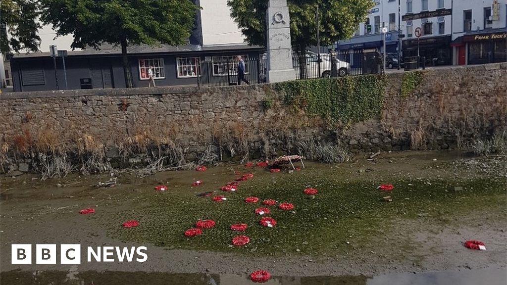 Newry Cenotaph attack condemned as 'sickening' - BBC News