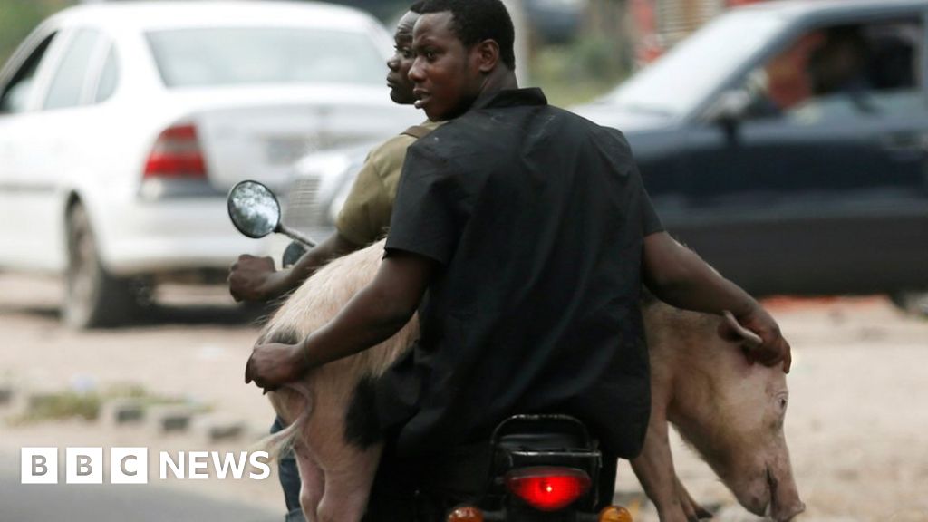 Africa's top shots: 23-29 September 2016 - BBC News