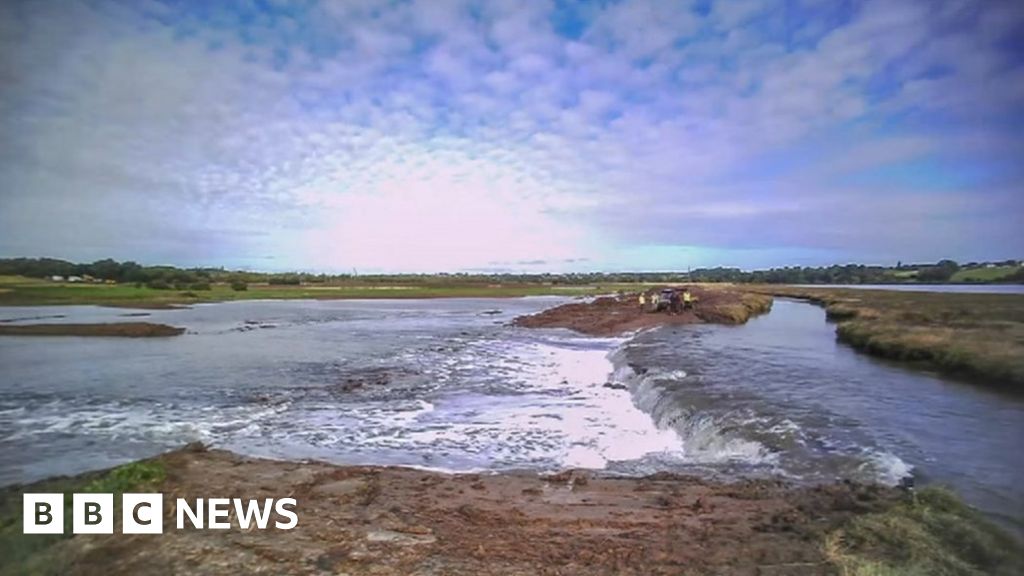 Fingringhoe Wick nature reserve: New wetlands created - BBC News