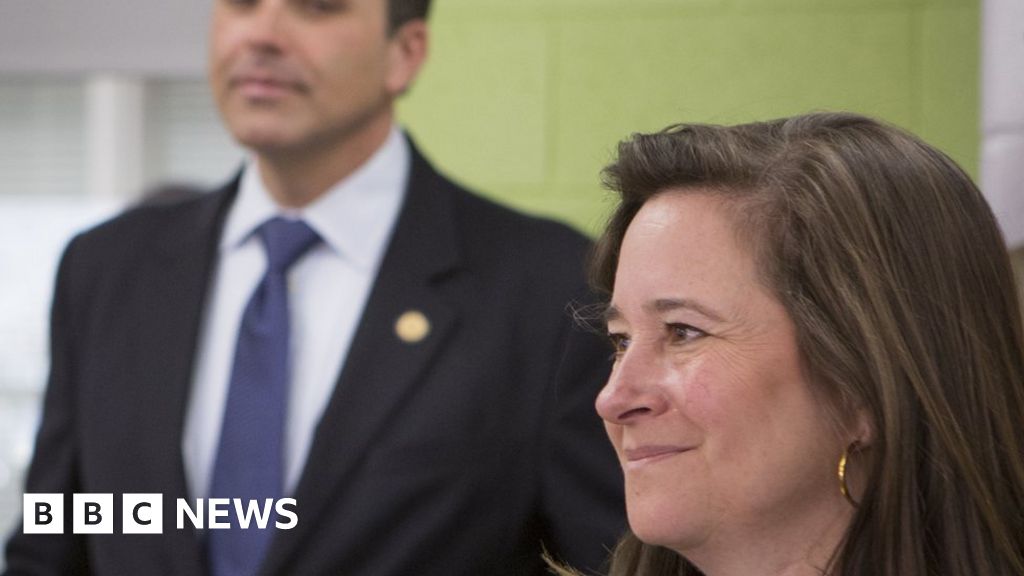 Virginia Democrat Shelly Simonds 'takes seat by one vote' - BBC News