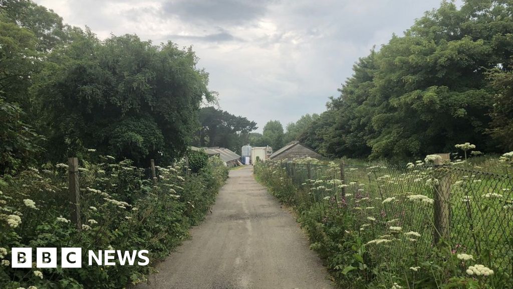 Fly infestation caused by chicken egg farm - BBC News