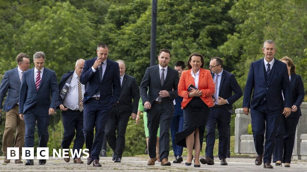 DUP: Who are the new members of Edwin Poots' ministerial team? - BBC News