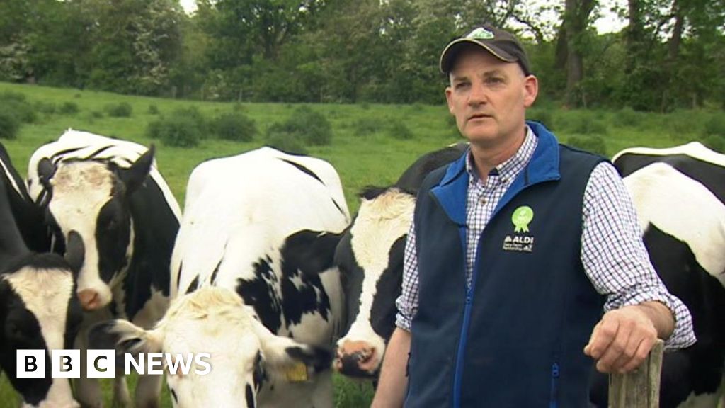 West Midlands farmers' concerns as wet fields dent milk output - BBC News