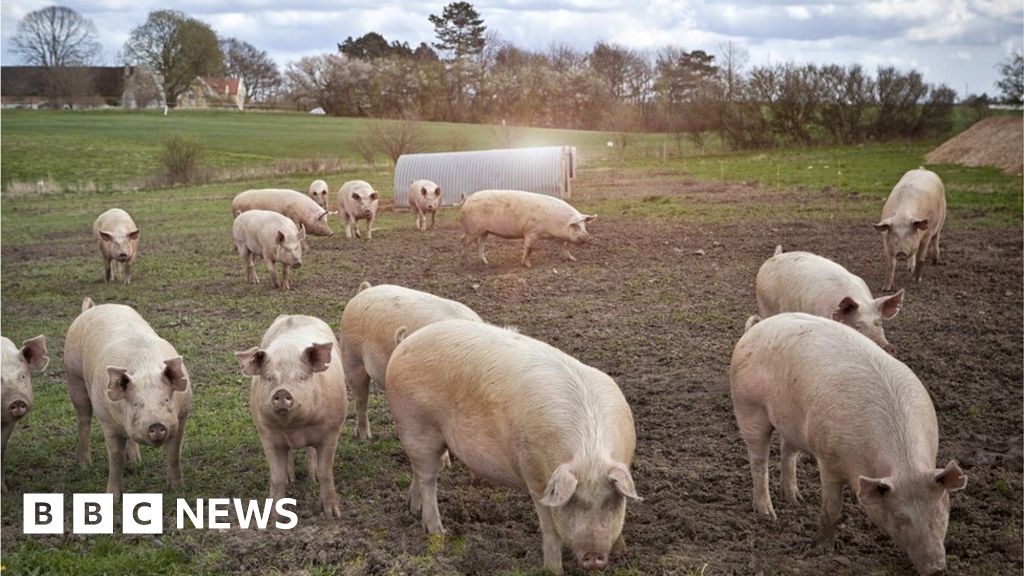 Brexit: Agri-tech company says lack of progress 'frustrating'