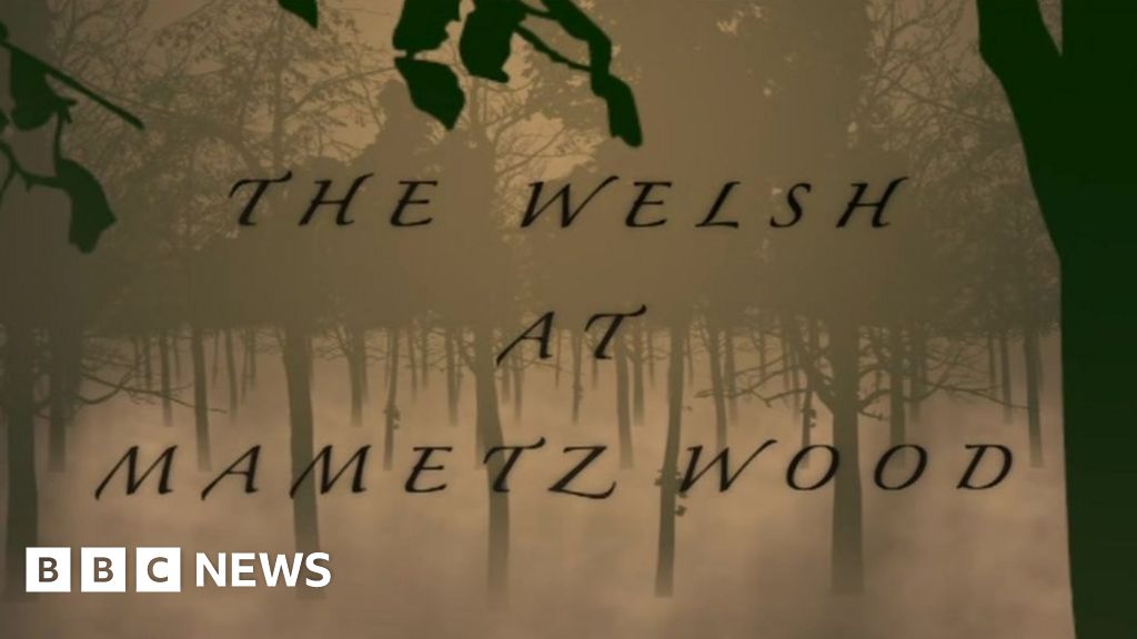 Somme: The Welsh at Mametz Wood explained - BBC News