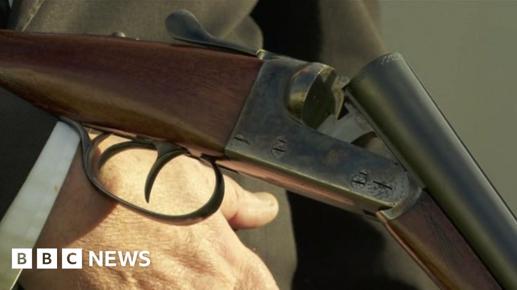 NI gun laws: PSNI spends £1m a year running gun licence system - BBC News