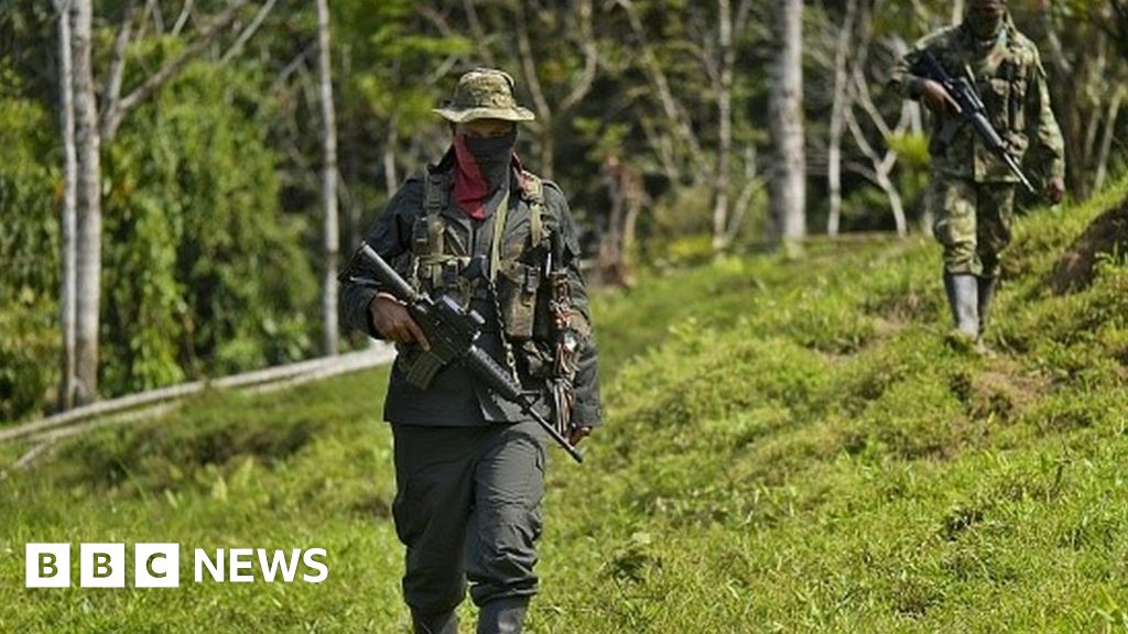 Colombia's ELN loses kidnap victim in jungle escape - BBC News