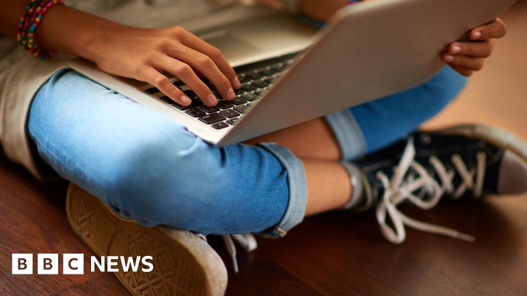 Children could get online grooming 'alerts' - NSPCC - BBC News