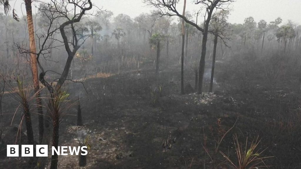 Bolivia's wildfire damage seen from the air - BBC News