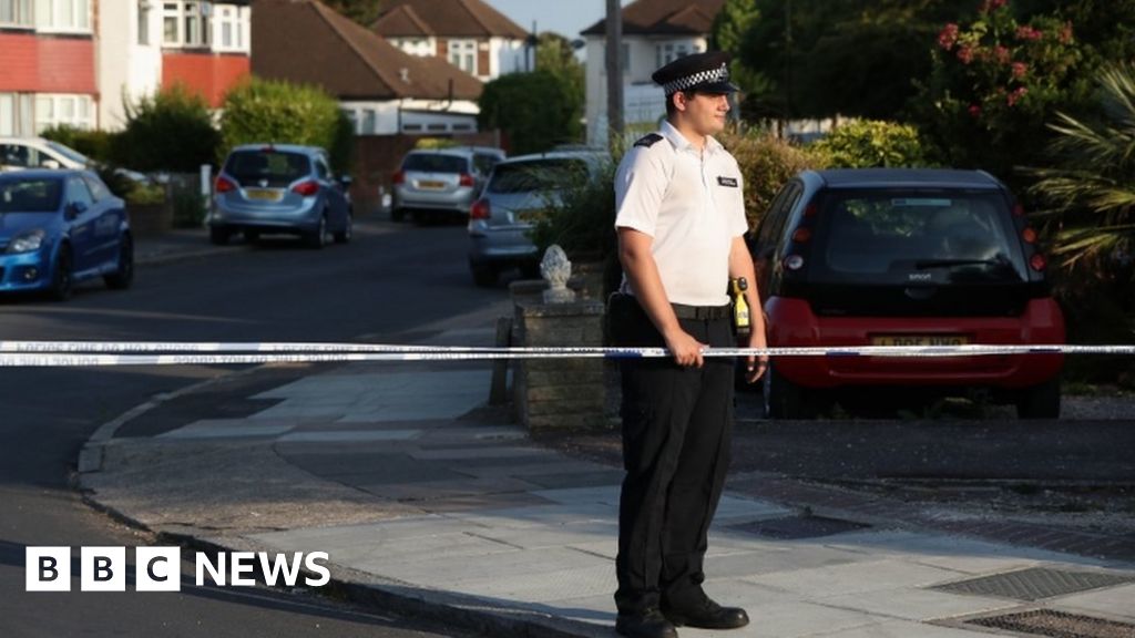 Whitton stabbing: Son charged with murdering parents