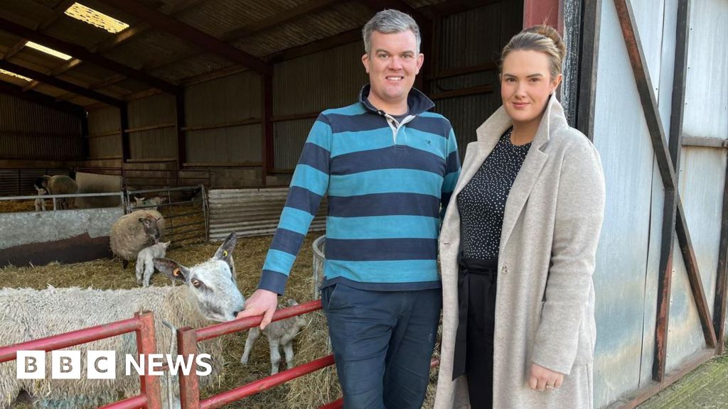 Shropshire farmers concerned after sheep shot dead in field - BBC News