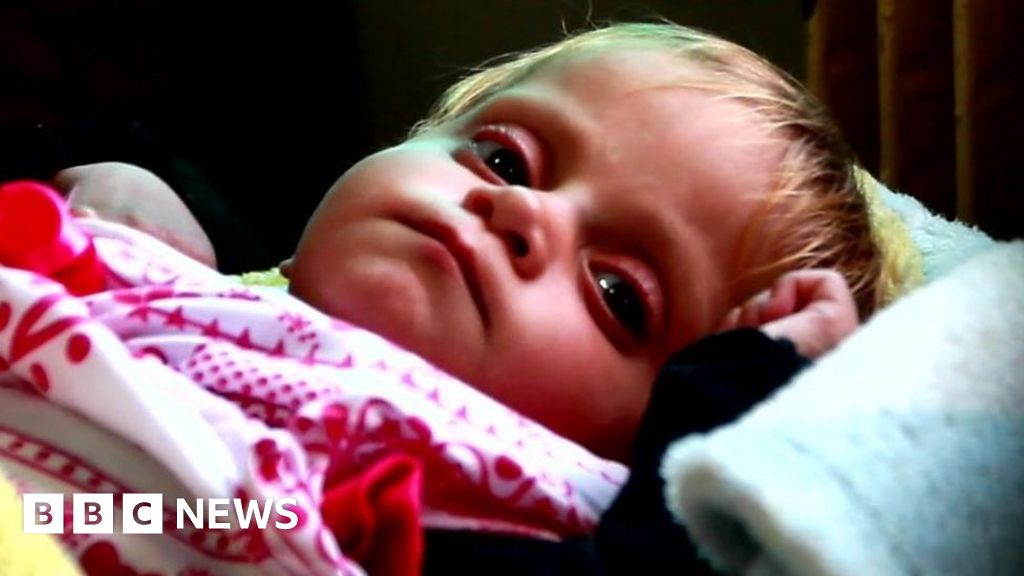 Syrians see signs of hope after years of war - BBC News