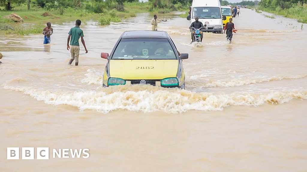 Nigeria: Jigawa State farmers lose '80% of farmland' due to flooding - BBC News