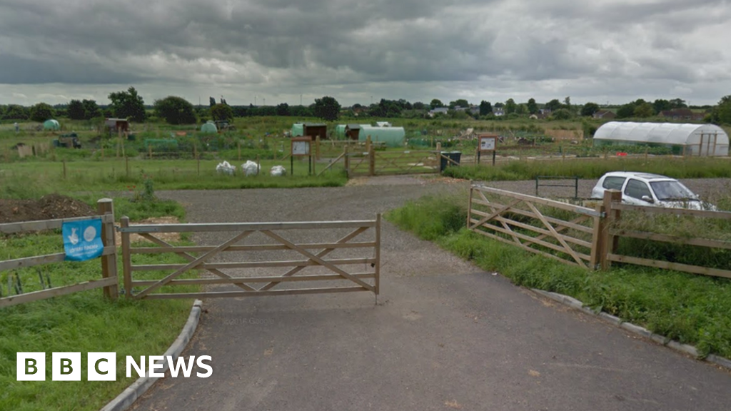 Chickens killed and one impaled in Stanwick attack