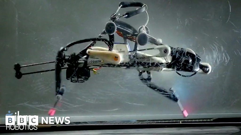 The self-balancing, sprinting robot and other news - BBC News